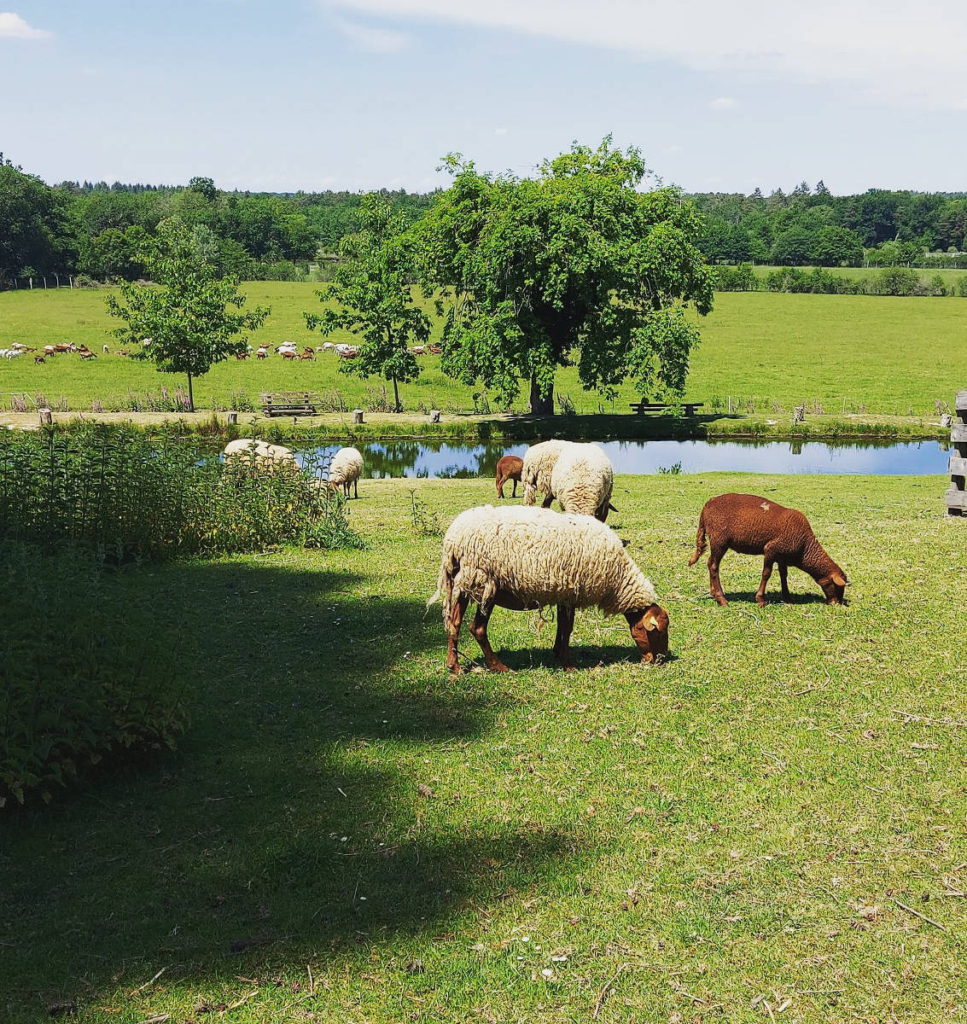 A la découverte du Domaine du Ciran